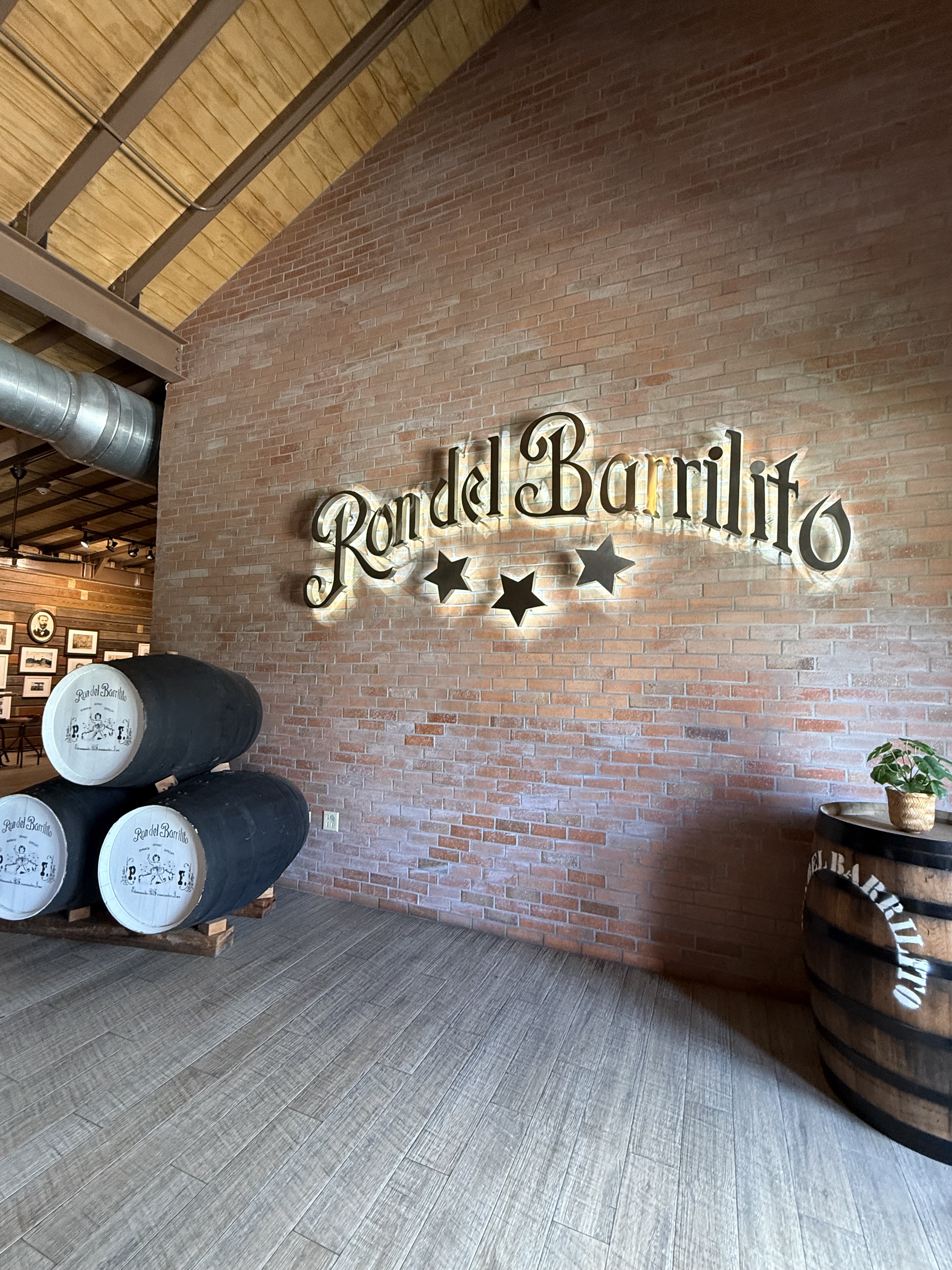 Rum, Waterfalls, and Wild Forests: My Journey Through Puerto Rico ...